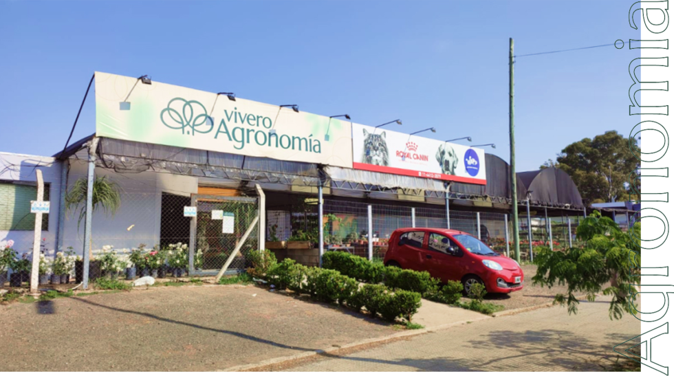 Vivero - Vivero Agronomía